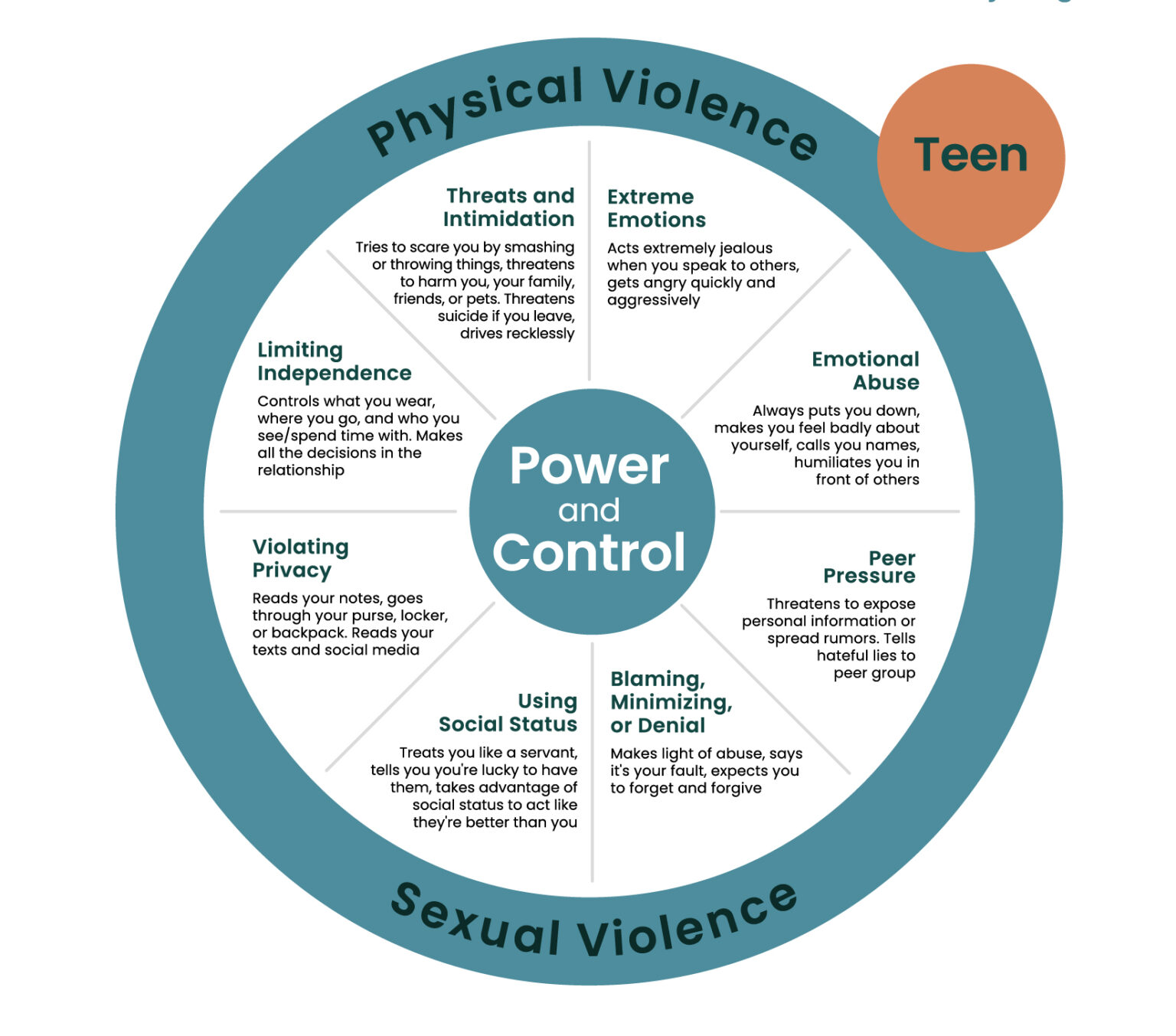Power and Control Wheel- Teen